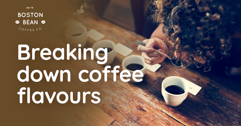 Breaking down coffee flavours – Boston Bean Coffee Co.